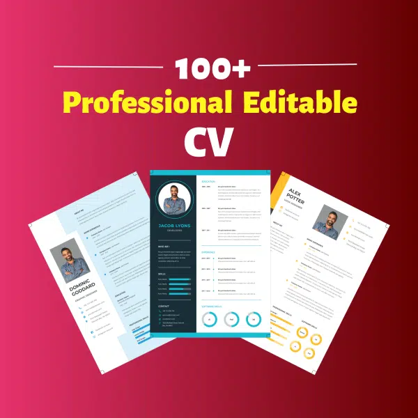 100+ Professional CV Templates – E-Grahok